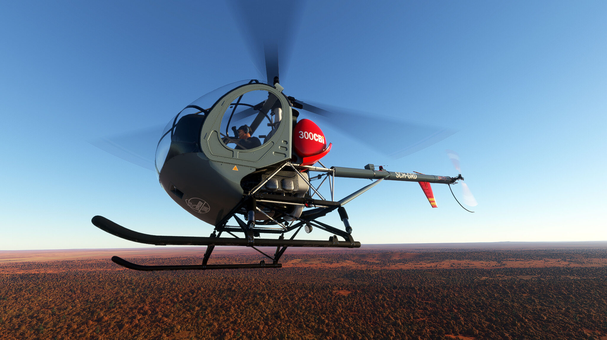 Schweizer S300CBi (MSFS 2020/2024) – Nemeth Designs Development Group